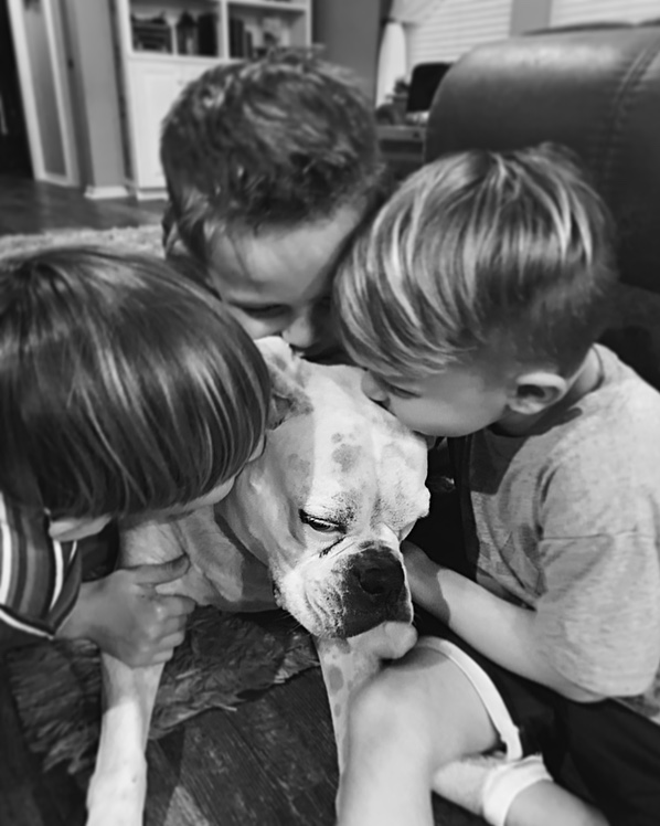 Jennifer Peebles - Gentle Pet Passages